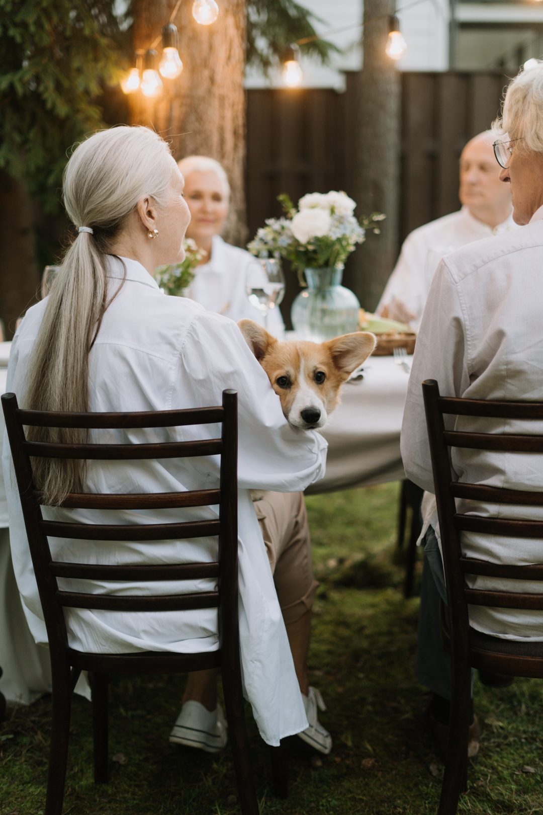 The Best Dogs for Elderly Companionship | Care is Central | Supporting ...